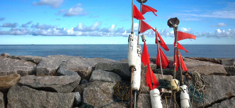 Insel Rügen – Ferienhaus Ostseestrand